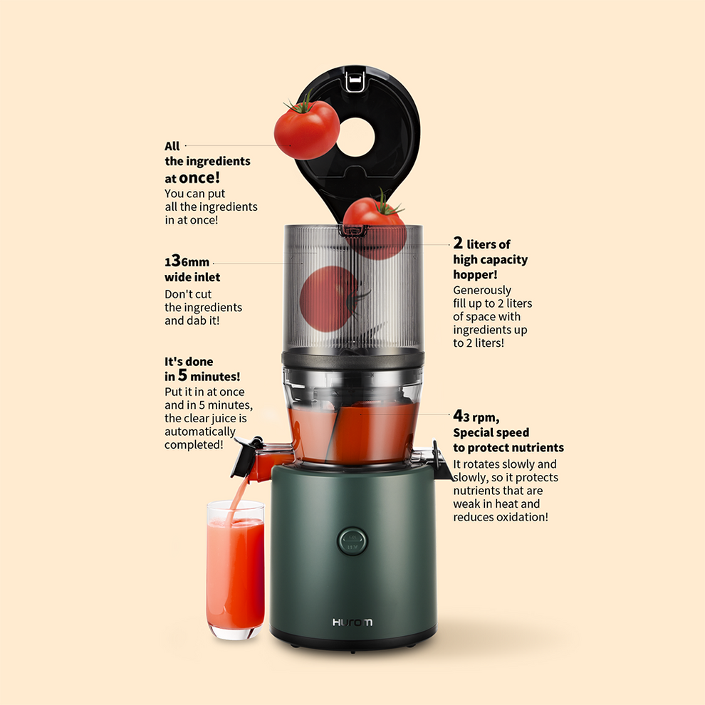 Hurom HH-320N Classic Series Slow Juicer | Cold Press | Singapore ...